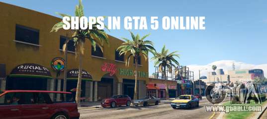 Variety stores in GTA 5