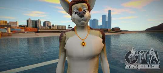 Random Furry Skin v1 for GTA San Andreas