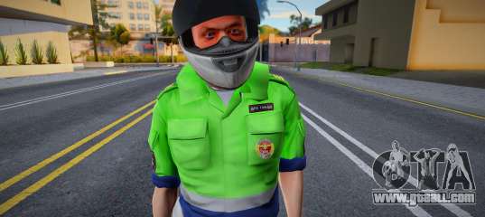 Fractional skin DPS v1 for GTA San Andreas